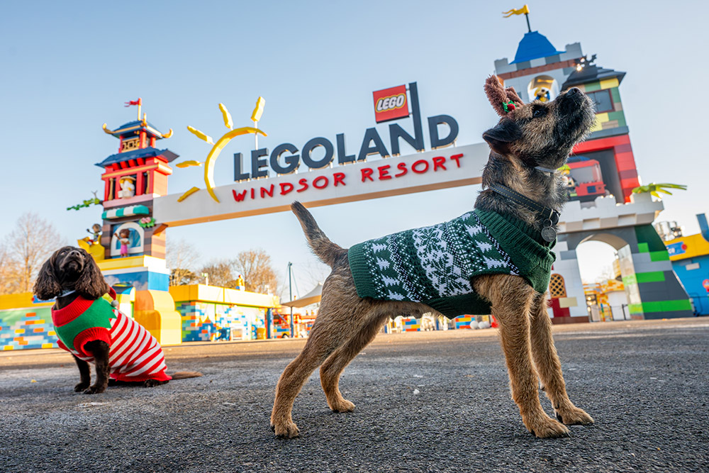 LEGOLAND Windsor Resort to welcome dogs to the park this Christmas ...